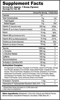 G Fuel Nuka Cola Quantum Tub - 40 Servings - Fallout - Energy Drink ...